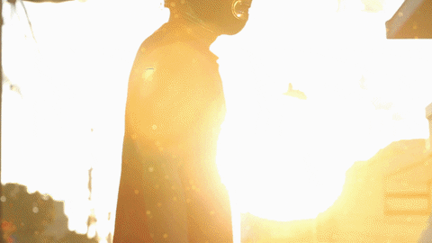 Flying Dogs GIFs - Get the best GIF on GIPHY