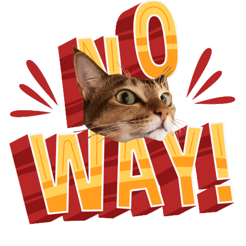No Way Cat Sticker for iOS & Android | GIPHY