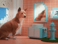 Reflect-mirror GIFs - Get the best GIF on GIPHY