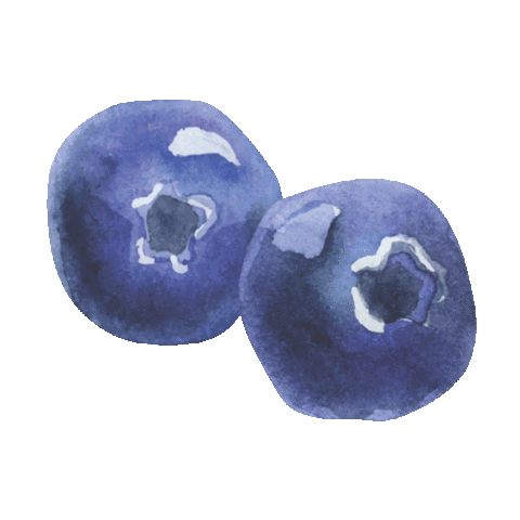 Blueberry Pie Fruit Sticker by urbanwalls for iOS & Android | GIPHY