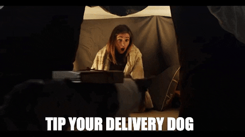 Delivery-dog GIFs - Get the best GIF on GIPHY