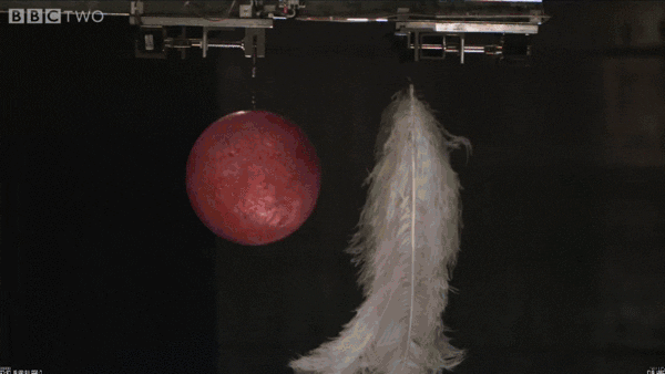 Gimkit - live learning game show