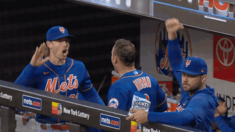 New York Mets GIFs on GIPHY - Be Animated