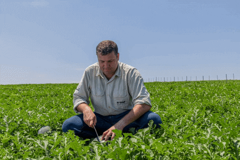 Batista GIFs on GIPHY - Be Animated