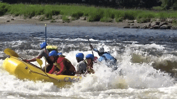 Whitewater River Rafting GIF by Kern River Outfitters - Find & Share on ...