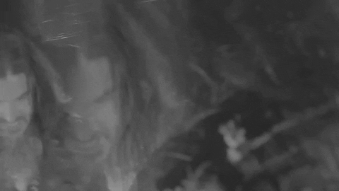 Heavy Metal GIF by Machine Head - Find & Share on GIPHY