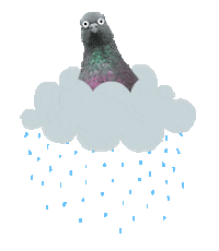 Rain Raining Sticker by Studio Hello for iOS & Android | GIPHY