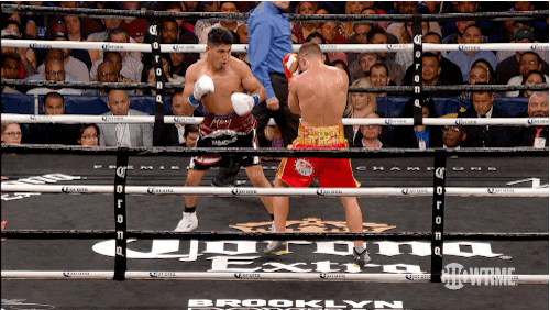 Mikey Garcia Boxing GIF by SHOWTIME Sports - Find & Share on GIPHY