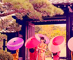 Nogizaka46 Saito Asuka Ashurin Crying GIFs - Get the best GIF on GIPHY