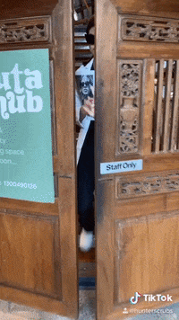 Walking Like A Boss Gif