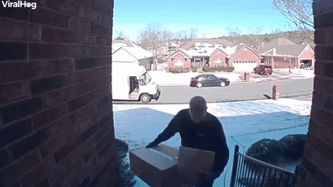 Fedex-delivery-man-slides-down-front-yard GIFs - Get the best GIF on GIPHY