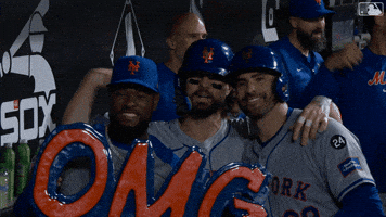 New York Mets GIFs on GIPHY - Be Animated