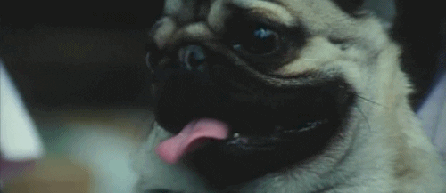 Maiku Hama GIFs - Get the best GIF on GIPHY