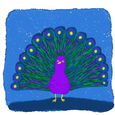 Bird Illustration GIFs - Get the best GIF on GIPHY