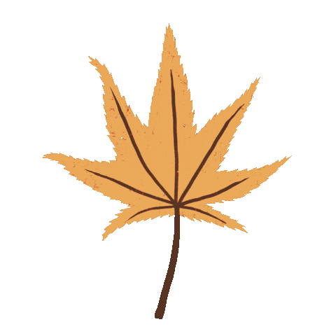 Maple Leaf Japan Sticker for iOS & Android | GIPHY