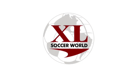 XL soccer world GIFs on GIPHY - Be Animated