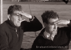 Zoeken GIFs - Find & Share on GIPHY