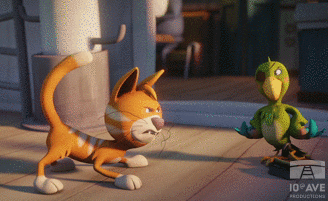 Perroquet GIFs - Get the best GIF on GIPHY