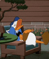 Huehuehue Gif Duck