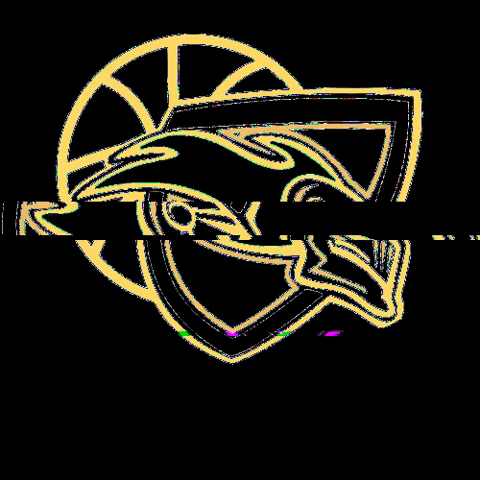 Sports-team-logo GIFs - Get the best GIF on GIPHY