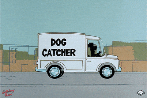 Dog Catchers GIFs - Get the best GIF on GIPHY