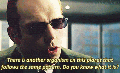 Do-observe GIFs - Get the best GIF on GIPHY