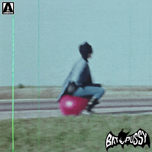Something Weird Bounce GIF by Arrow Video - Find & Share on GIPHY