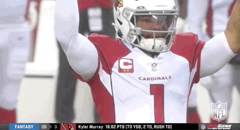 Arizona Cardinals Football GIF by NFL - Find & Share on GIPHY