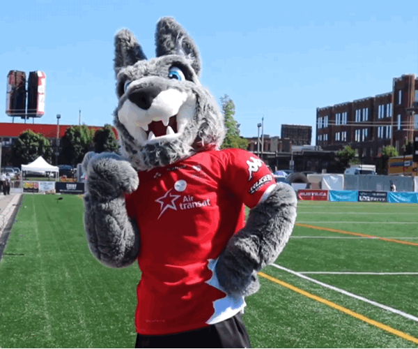 Rugby League Dancing By Toronto Wolfpack Find And Share On Giphy