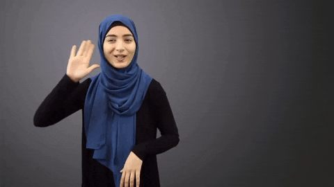 Asl Hello GIF - Find & Share on GIPHY