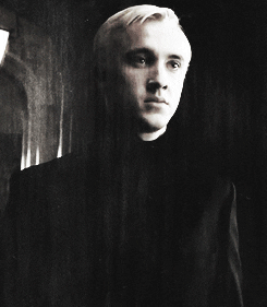 Hpgif GIFs - Get the best GIF on GIPHY