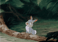 Thumper Twitterpated Gif