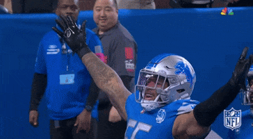 Detroit Lions GIFs on GIPHY - Be Animated