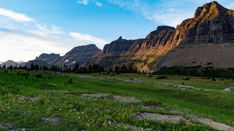 GIF by Glacier National Park Conservancy - Find & Share on GIPHY