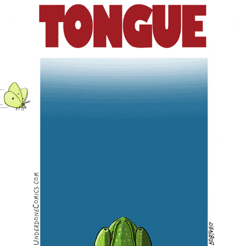 Chameleon Eating A Bug GIFs - Find & Share on GIPHY