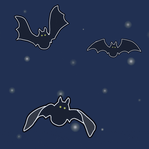 Halloween-bats GIFs - Get the best GIF on GIPHY