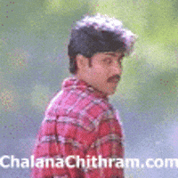 Review GIFs - Find & Share on GIPHY