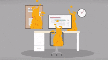 Meme Coding GIF by HostGator