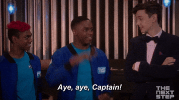 Aye Aye Captain Clips - Find & Share on GIPHY