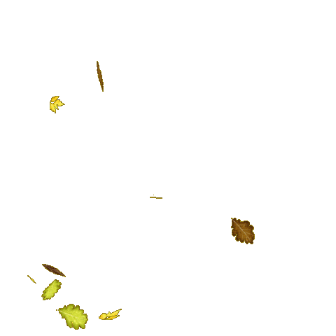 Falling Leaves Fall Sticker by Home Brew Agency for iOS & Android | GIPHY