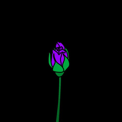 Animated Flowers GIFs - Find & Share on GIPHY