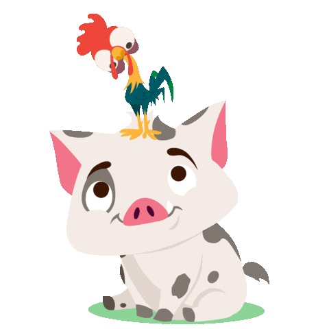 Maui Pua Sticker by Walt Disney Animation Studios - Find & Share on GIPHY