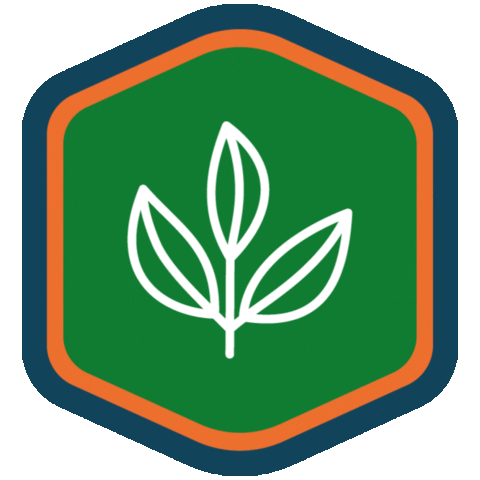 Leaf Verde Sticker by VoyTuristeando - Find & Share on GIPHY