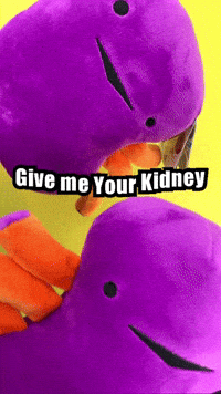 Kidneys GIFs - Find & Share on GIPHY