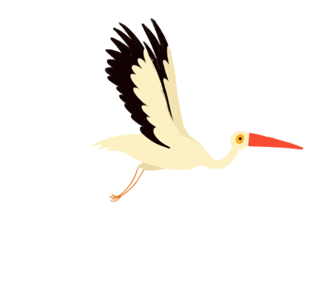 Stork Ciguena Sticker by Mi Señal - Find & Share on GIPHY
