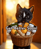Funny Get Well GIFs - Find & Share on GIPHY