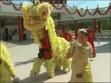 Lion Dancing GIFs - Find & Share on GIPHY