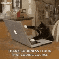 Code Coding GIFs - Find & Share on GIPHY