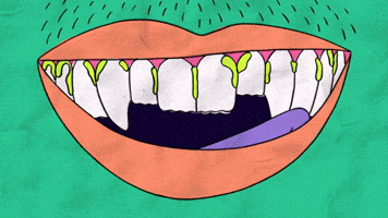 Season 6 Teeth GIF by Friends
