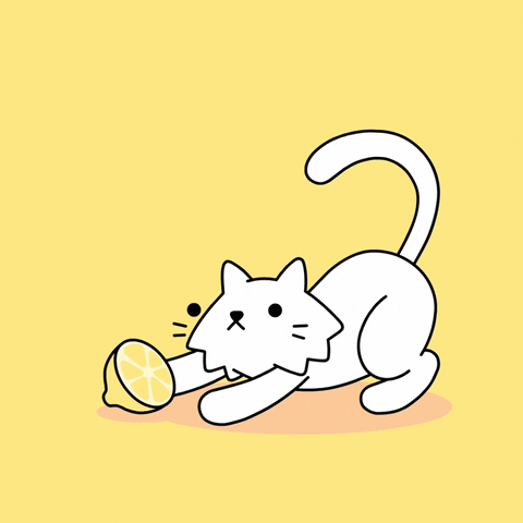 Cat Animation GIF by doodles - Find & Share on GIPHY